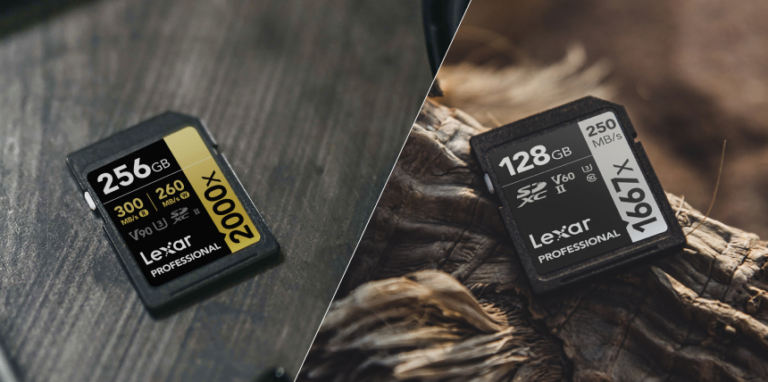 SDHC vs SDXC: Understanding the Differences and Choosing the Right Card